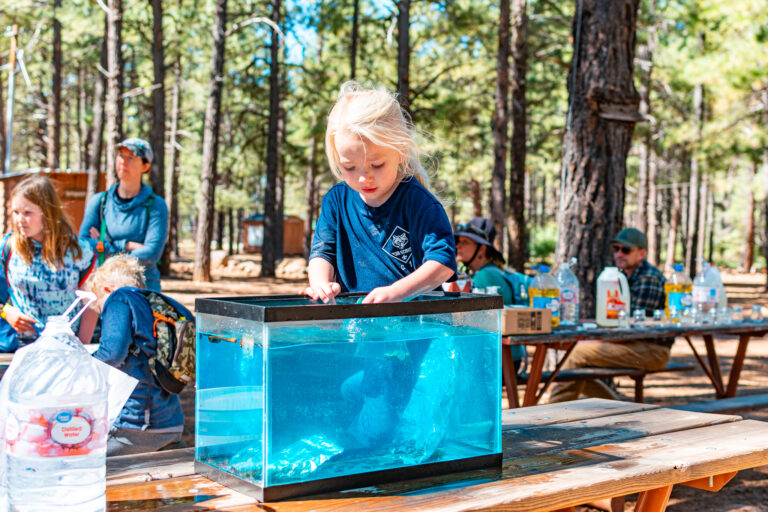 Summer Camp & Events – Camp Raymond