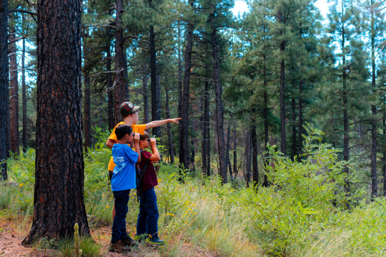 Summer Camp & Events – Camp Raymond