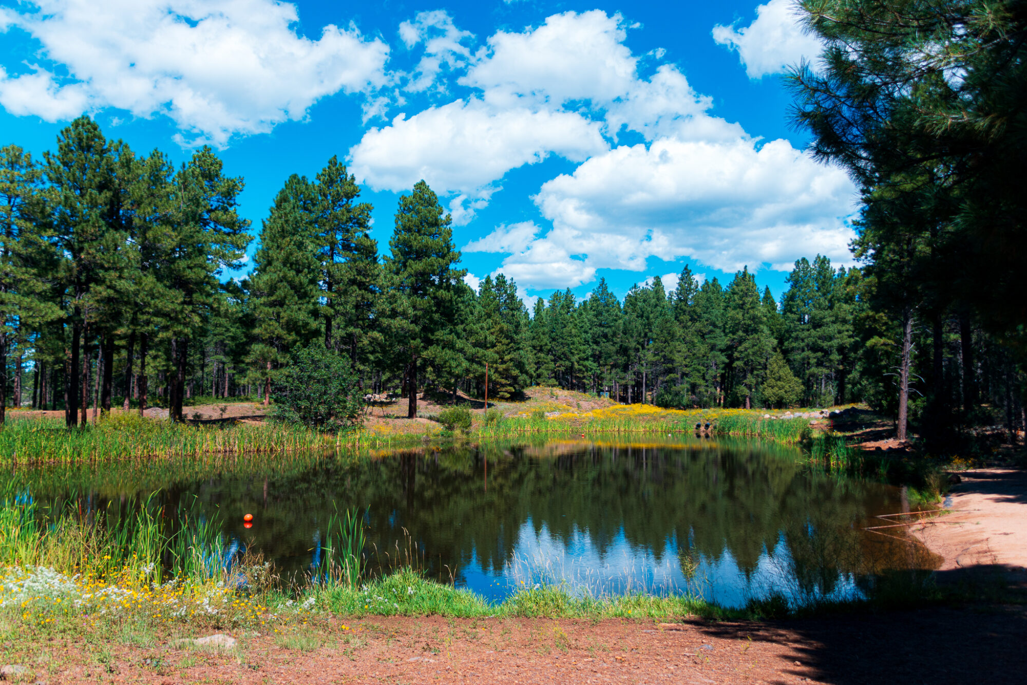 Property Rental – Camp Raymond